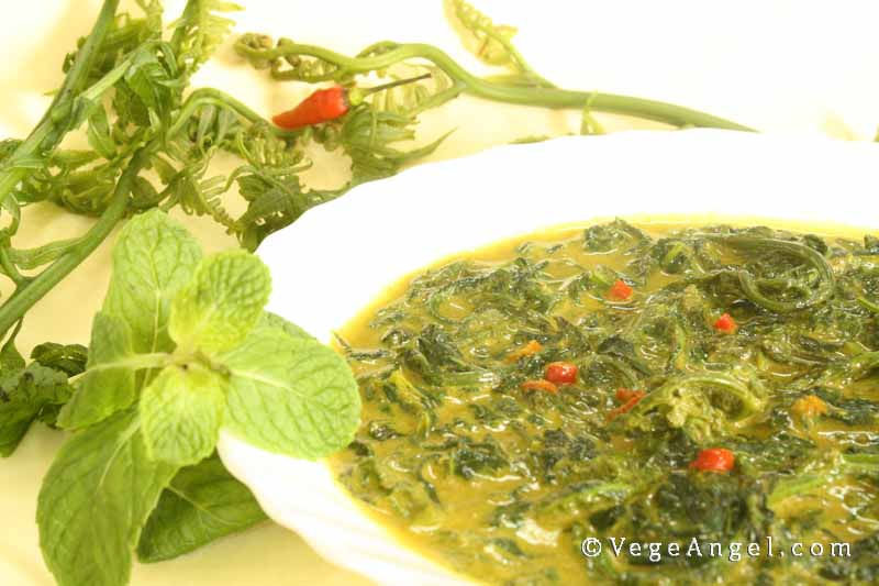 Vegetarian Recipe: Wild Fern Shoots in Spicy Coconut Gravy | Vege Angel